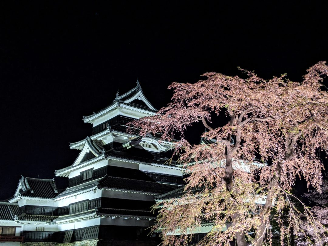 Night walk through the Sakura at Matsumoto Castle | Sakura 2021